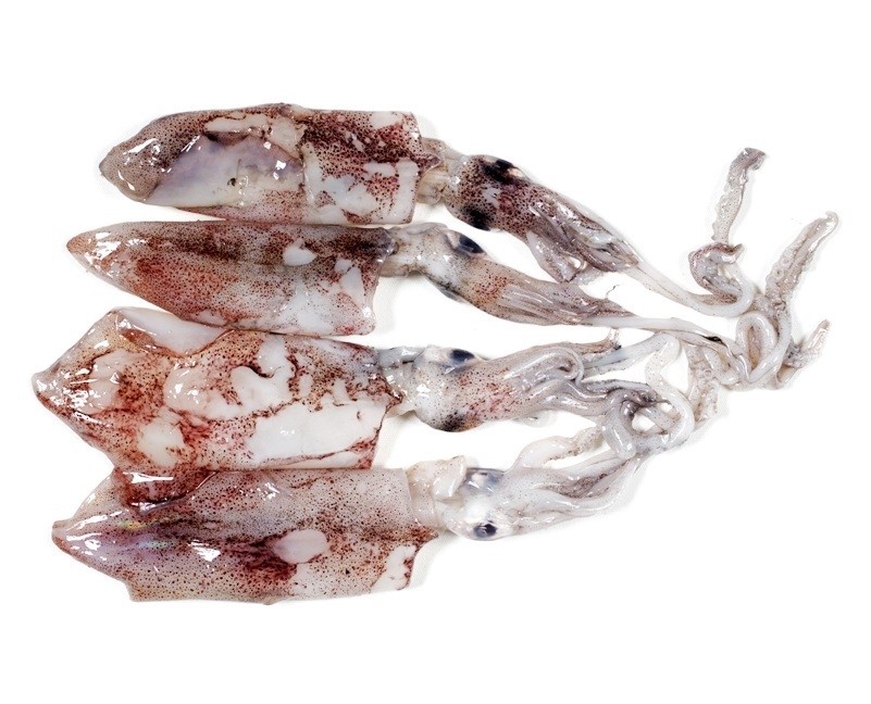 chipiron de calamar - Pescaderia Bolivar